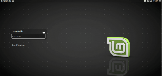 How To Install Linux Mint 18 “Sarah” – Cinnamon with Screenshots