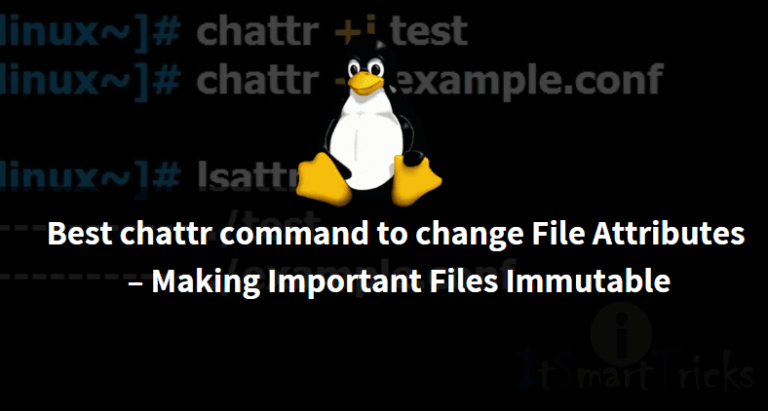 Best Chattr Command To Change File Attributes – Making Important Files ...