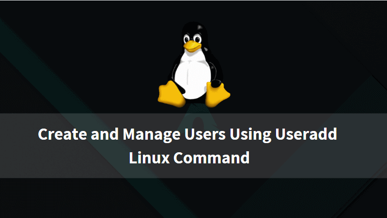 How To Create And Manage Users Using Useradd Linux Command